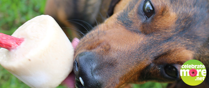 Homemade Puppy Pops | CelebrateMORE.com